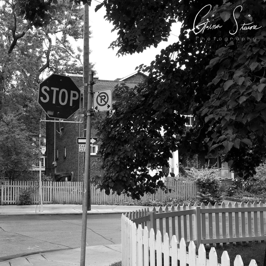 Stop Signs in Toronto – Gina Staios Photography